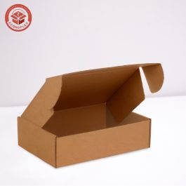 Econoflex Mailer Boxes - Affordable & Eco-Friendly Shipping Solutions ...